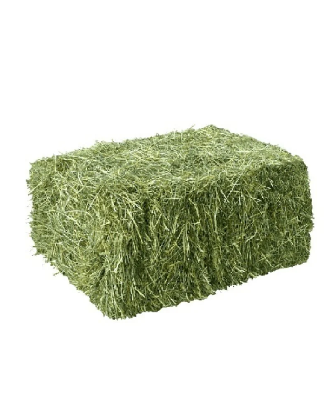 Paca de Zacate – Forrajera La Nacional