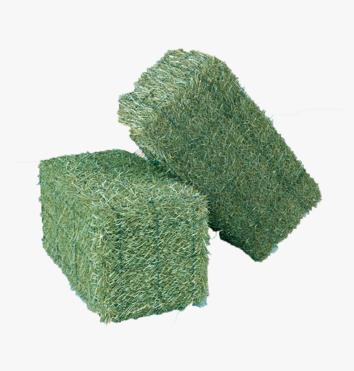 Paca de Alfalfa – Forrajera La Nacional